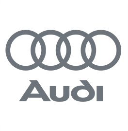 Audi icon – Windscreen Distributors