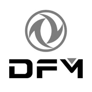 dfm logo – Windscreen Distributors